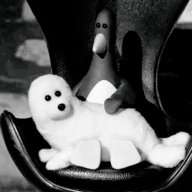 Gender discussion #102 | Page 14 | Tattle Life