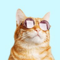 The Royal Family #54 | Page 18 | Tattle Life