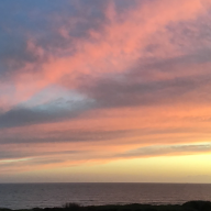 The Chateau Diaries #387 Philip does dyck all. He really is a useless ...