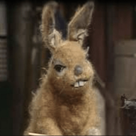 Real Life Crime & Murder #32 | Page 40 | Tattle Life